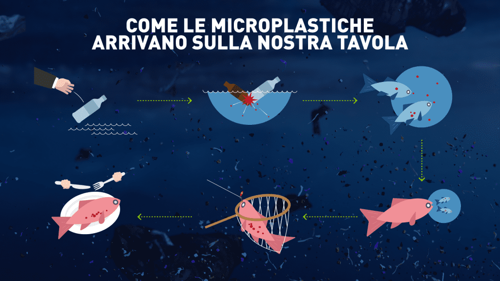 Le microplastiche hanno conquistato il nostro Pianeta: come difendersi ...